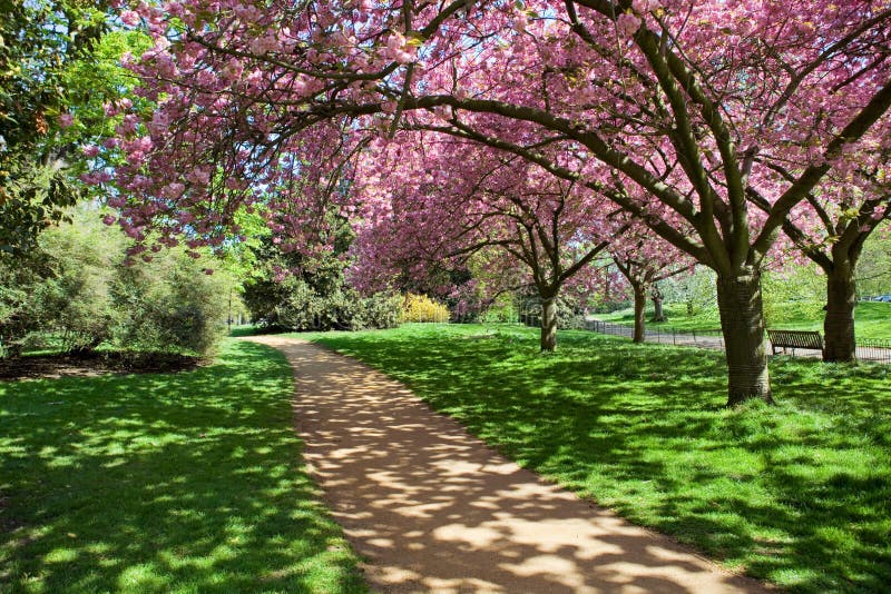 Spring in Hyde Park, London Stock Image - Image of park, vacation: 25028479