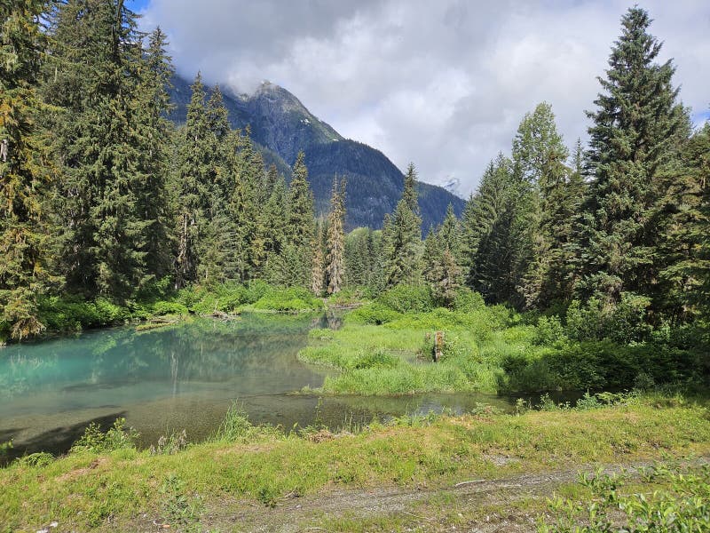 Hyder, Alaska, USA stock image. Image of infrastructure - 297501171
