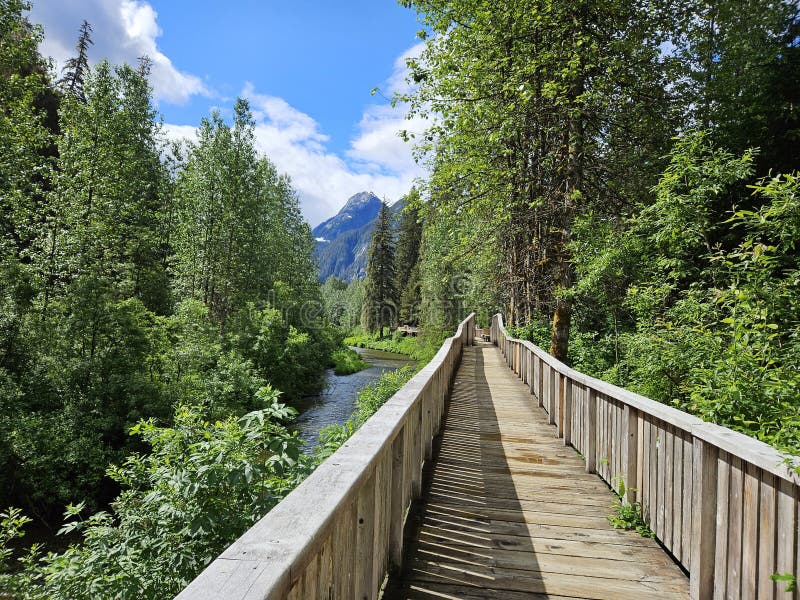 Hyder, Alaska, USA stock photo. Image of road, tree - 297501452
