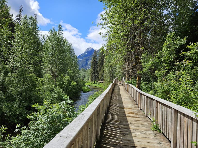 Hyder, Alaska, USA stock photo. Image of road, tree - 297501452