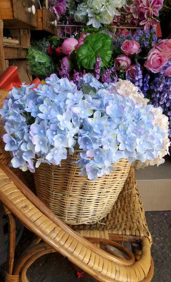 Hydrangea in basket stock photo. Image of decoration - 55980774
