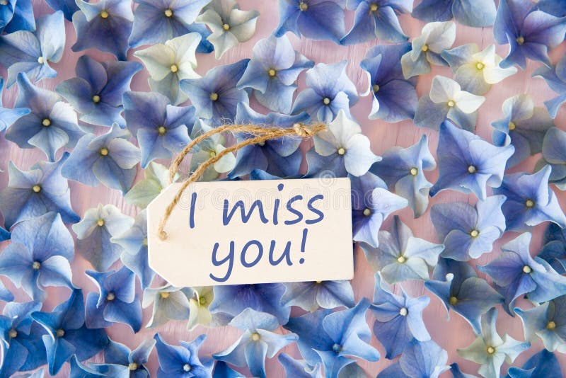 Label with Miss You stock image. Image of love, valentines - 37273017
