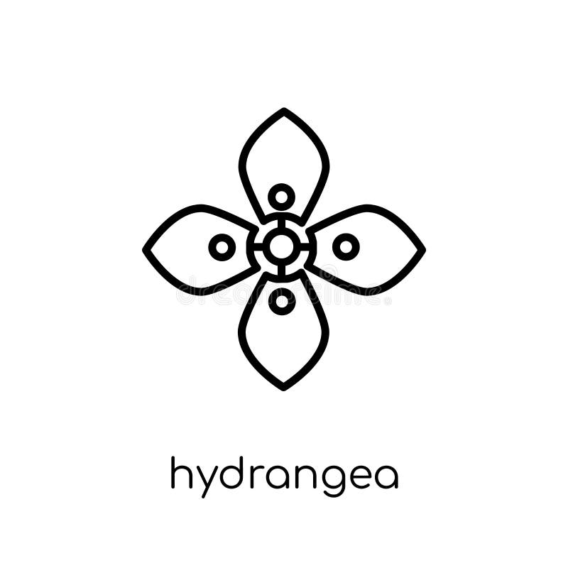 Hydrangea Icon. Trendy Modern Flat Linear Vector Hydrangea Icon Stock ...