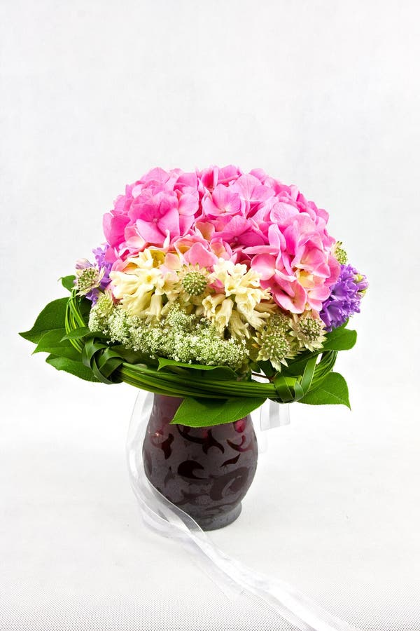 Stunning Orchid Plant and Arrangement Stock Image - Image of suggestive ...