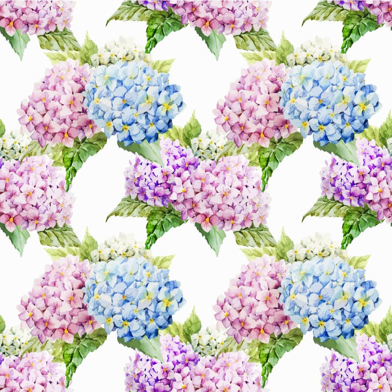 Hydrangea pattern stock vector. Illustration of design - 50177791