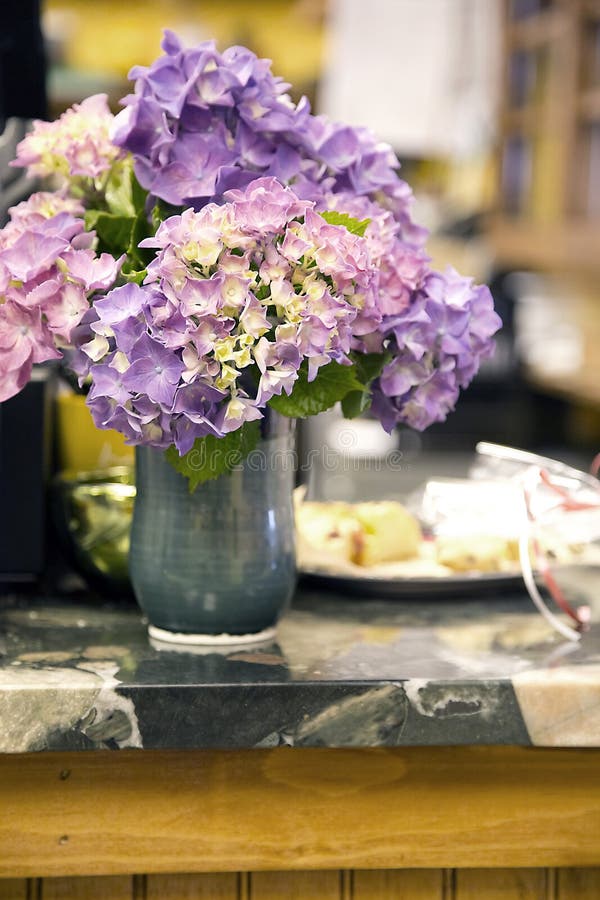 Hydrangea in Vase stock image. Image of purple, vase - 57714589