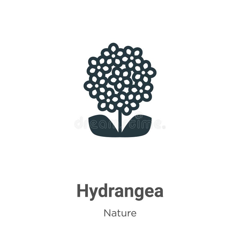 Hydrangea Icon Stock Illustrations – 706 Hydrangea Icon Stock ...