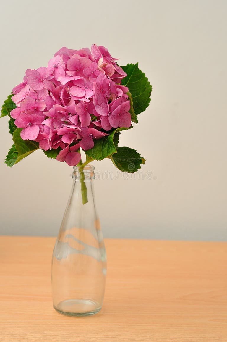 1,139 Hydrangea Bottle Stock Photos - Free & Royalty-Free Stock Photos ...