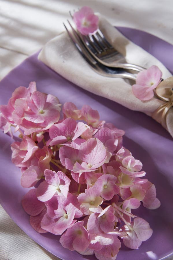 Hydrangeas in the table stock photo. Image of botanical - 41645030