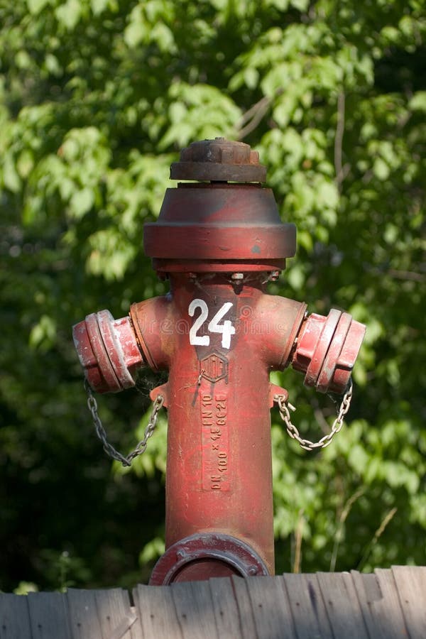 Hydrant stock photo. Image of leaf, bush, twenty, douse - 201596