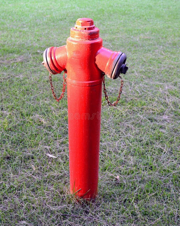 Hydrant in a city park stock image. Image of grass, stew - 104477605