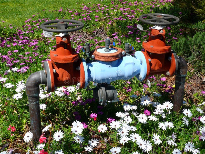 Hydrant and flowers stock image. Image of ecology, pink - 4883081