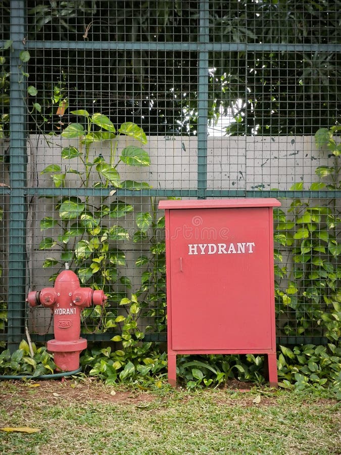 Hydrant in the Garden stock photo. Image of hydrant - 334149924