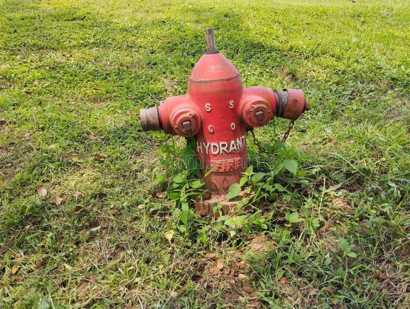 Hydrant on the Grass Shoot Close Up Stock Photo - Image of pipe, valve ...