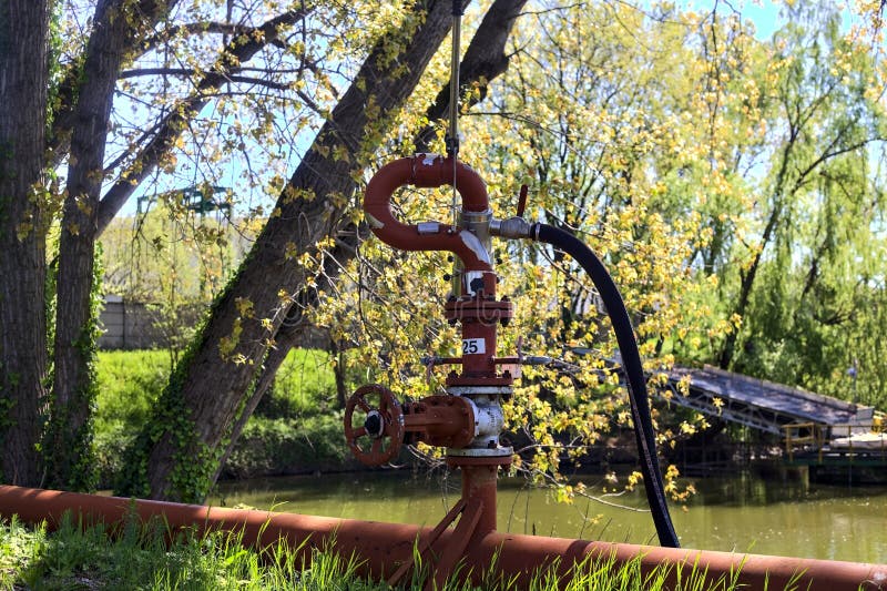 Hose Lakeshore Stock Photos - Free & Royalty-Free Stock Photos from ...