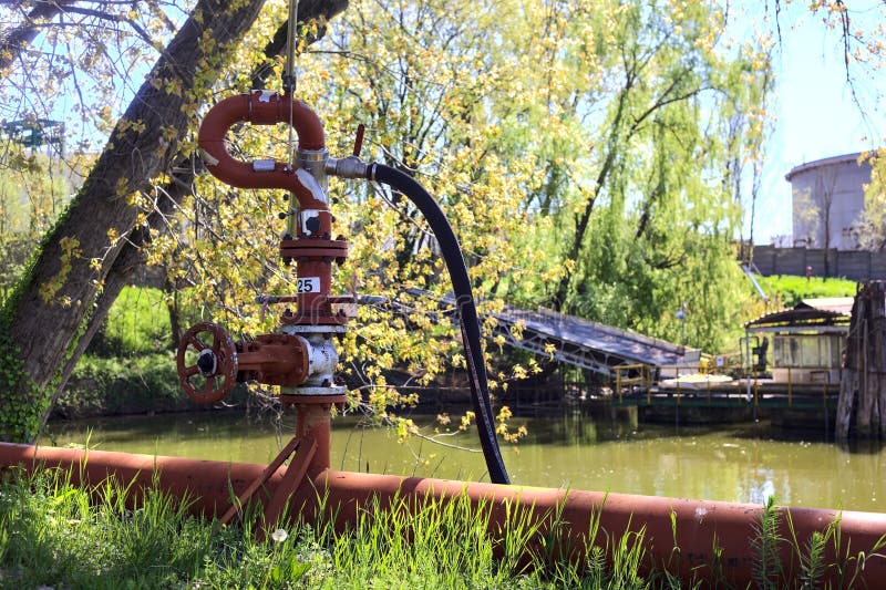 Hose Lakeshore Stock Photos - Free & Royalty-Free Stock Photos from ...