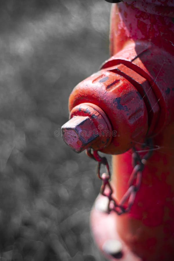 Hydrant Side Port stock photo. Image of water, side - 154379722