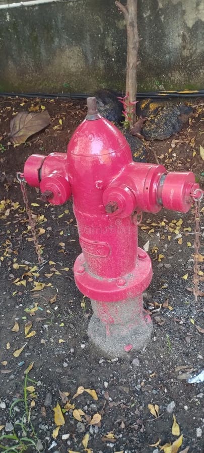 Hydrant To Extinguish the Fire in the Event of a Fire in One Corner of a Public Building Stock ...
