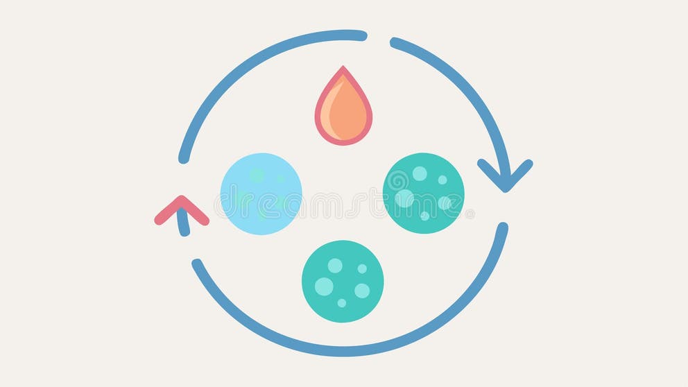 Hydration Cycle a Circular Flow Chart Showing the Hydration Process ...
