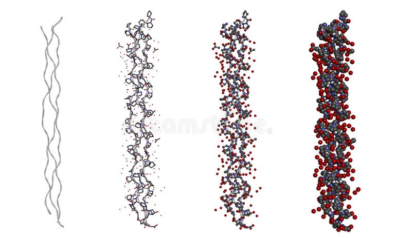 Collagen Triple Helix Structure Stock Illustrations – 130 Collagen ...