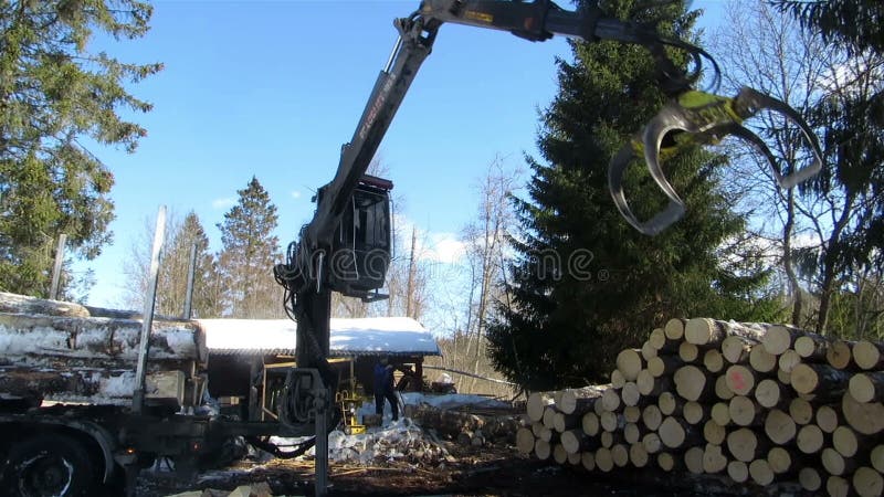 Hydraulic Crane Claw Grabbing Tree Trunks To Move Them from One Place ...