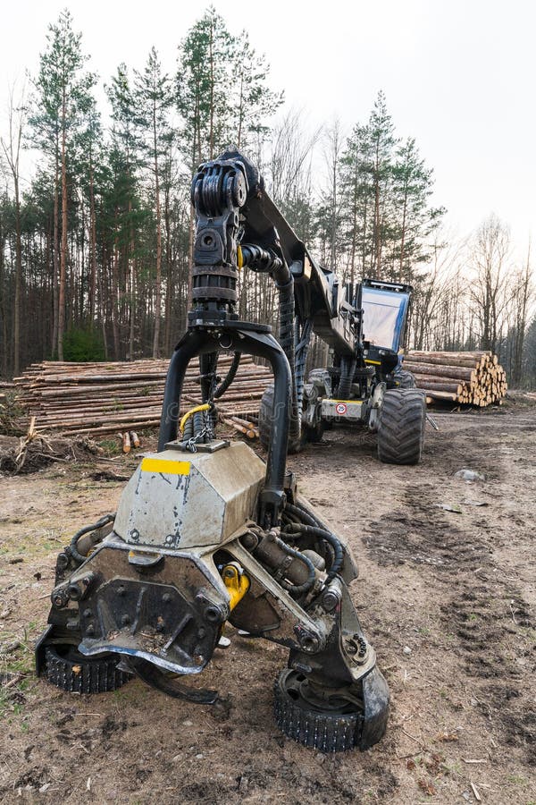 Forestry Harvester Machine. Felling Head Detail. Logging in Damaged ...