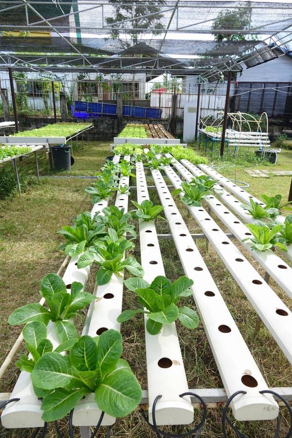 Hydro farm stock image. Image of insecticide, crop, garden - 163945277