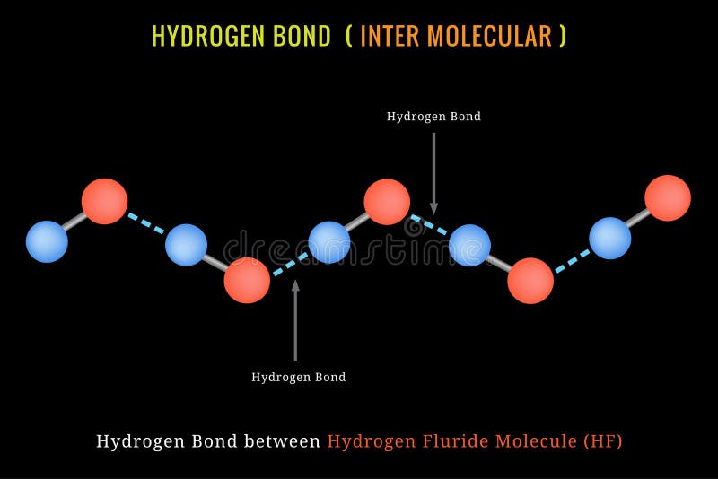 Intermolecular Forces Hf