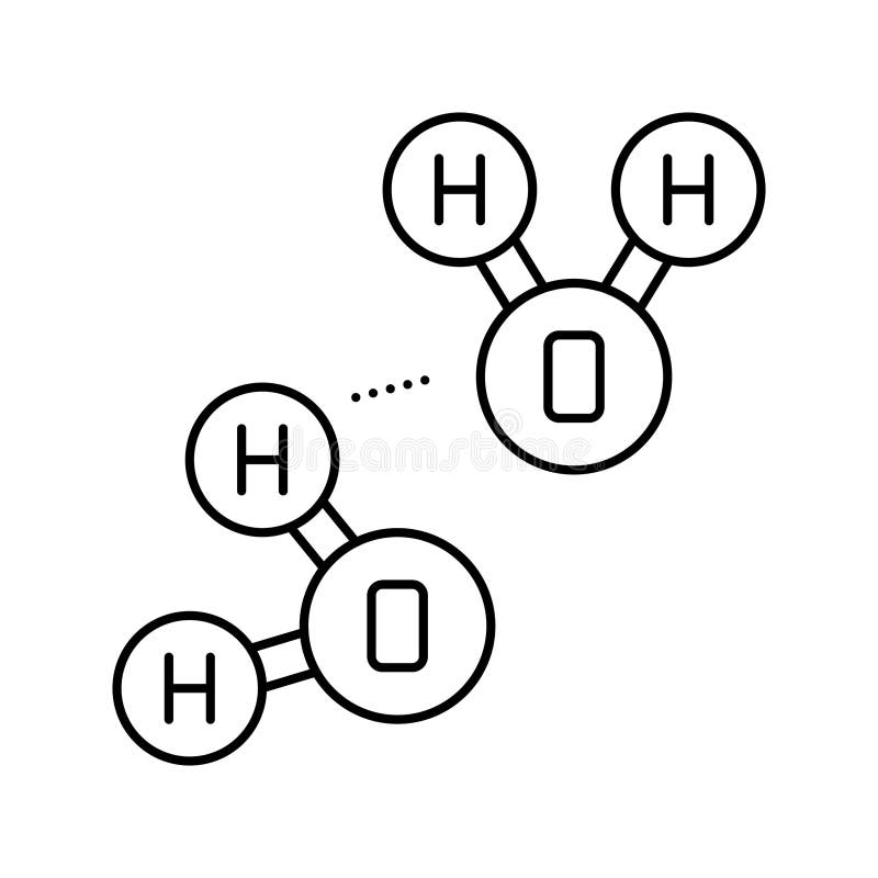 Hydrogen Bonding Biochemistry Line Icon Vector Illustration Stock ...