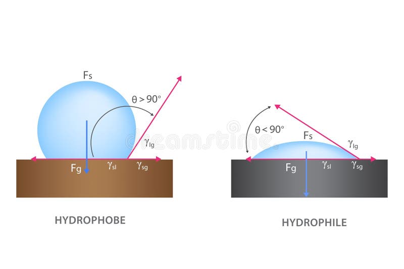 Microscopic Features Stock Illustrations – 94 Microscopic Features ... Microscopic Features Stock Illustrations – 94 Microscopic Features ...