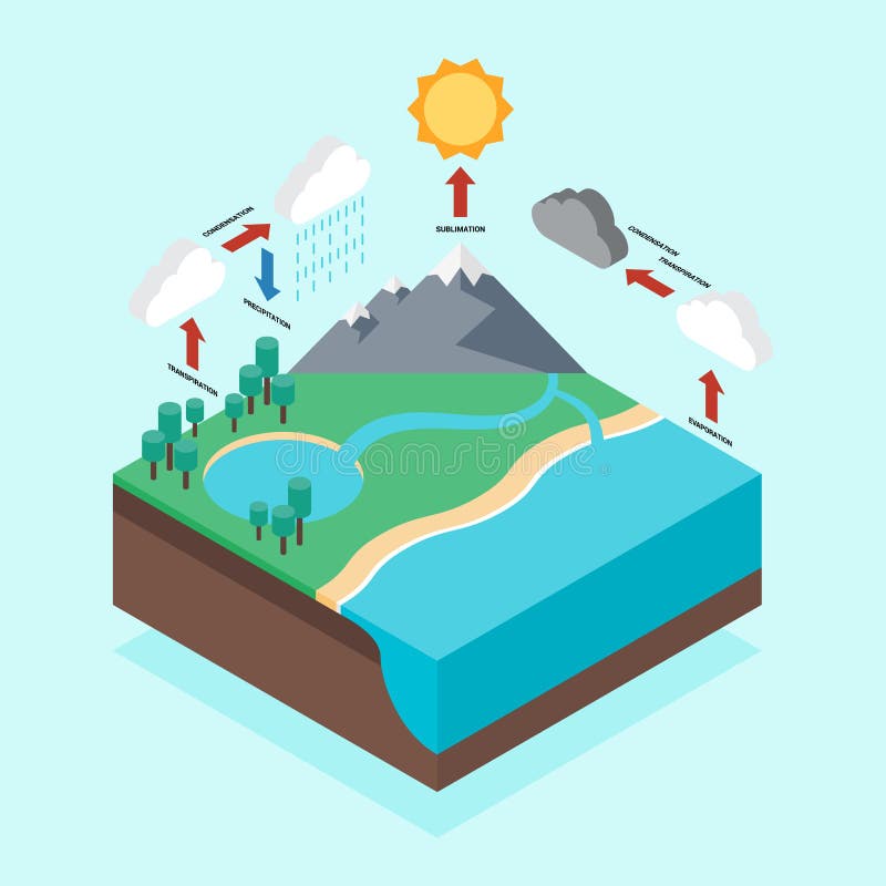 Hydrologic Cycle Infographic Isometric Flat Design Stock Vector ...