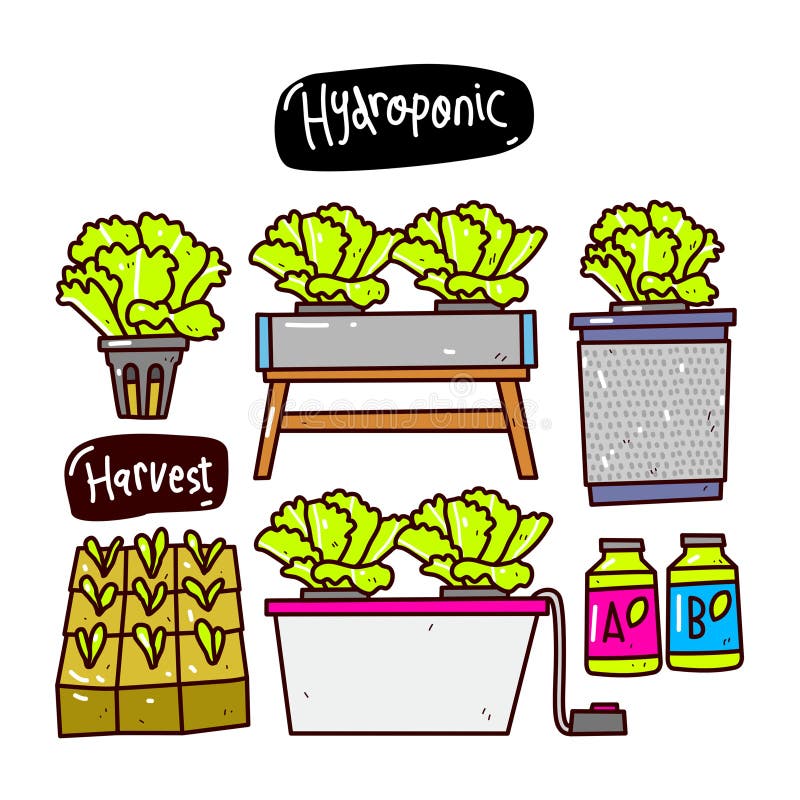 Hydroponic Collection Set with Doodle Hand Drawn Style Stock ...