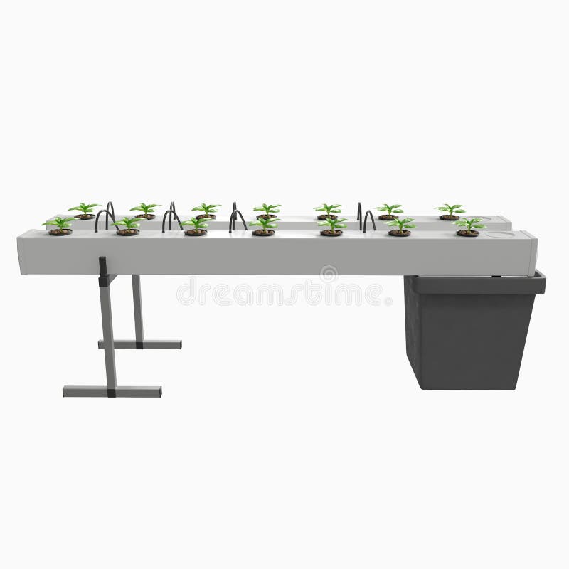 Hydroponic Growing System with Independent Water Tank Stock ...
