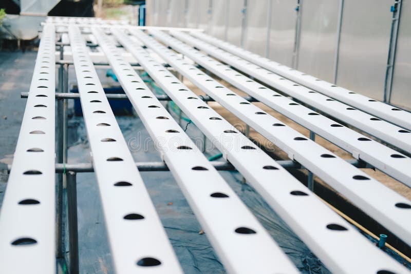 Hydroponic Rail System, New Agriculture System Technology Stock Photo ...