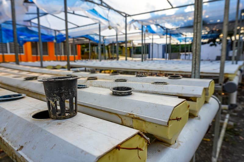 Hydroponic System with Plastic Net Pots for Plant Propagation Closeup ...