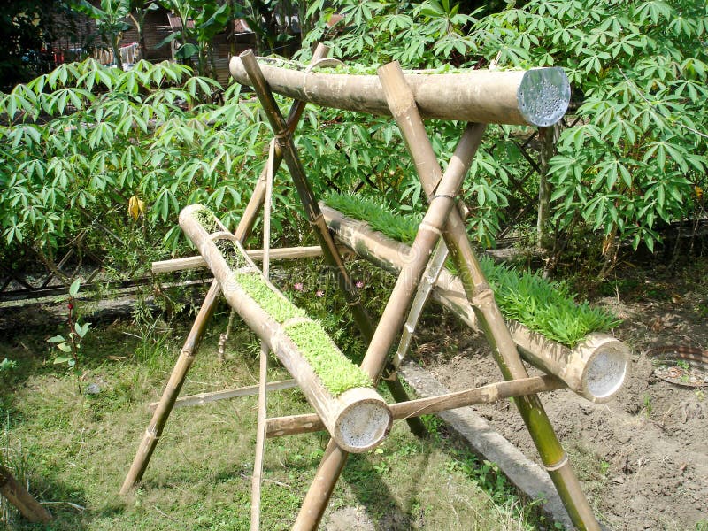 Hydroponic Vertical Gardening 01 Stock Photo - Image of business, grow ...