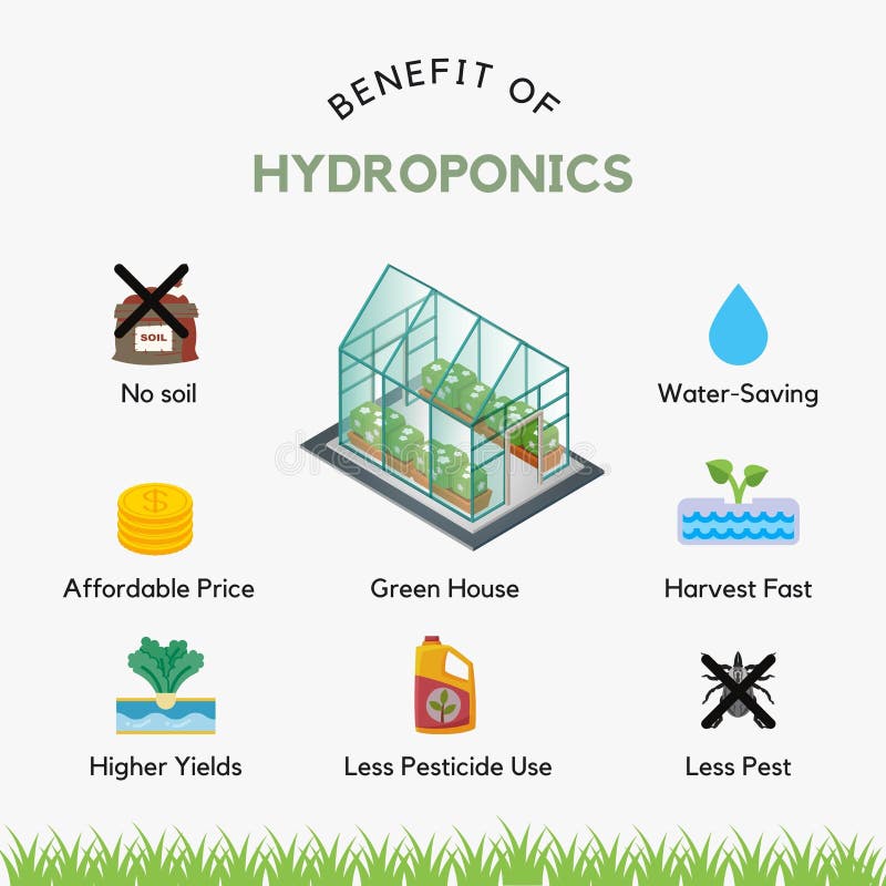Hydroponics Diagram Stock Illustrations – 13 Hydroponics Diagram Stock ...