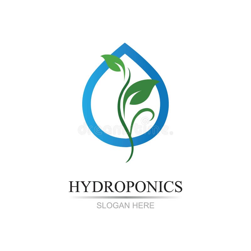 Hydroponics Logo Vector Illustration Design Template Stock Vector ...