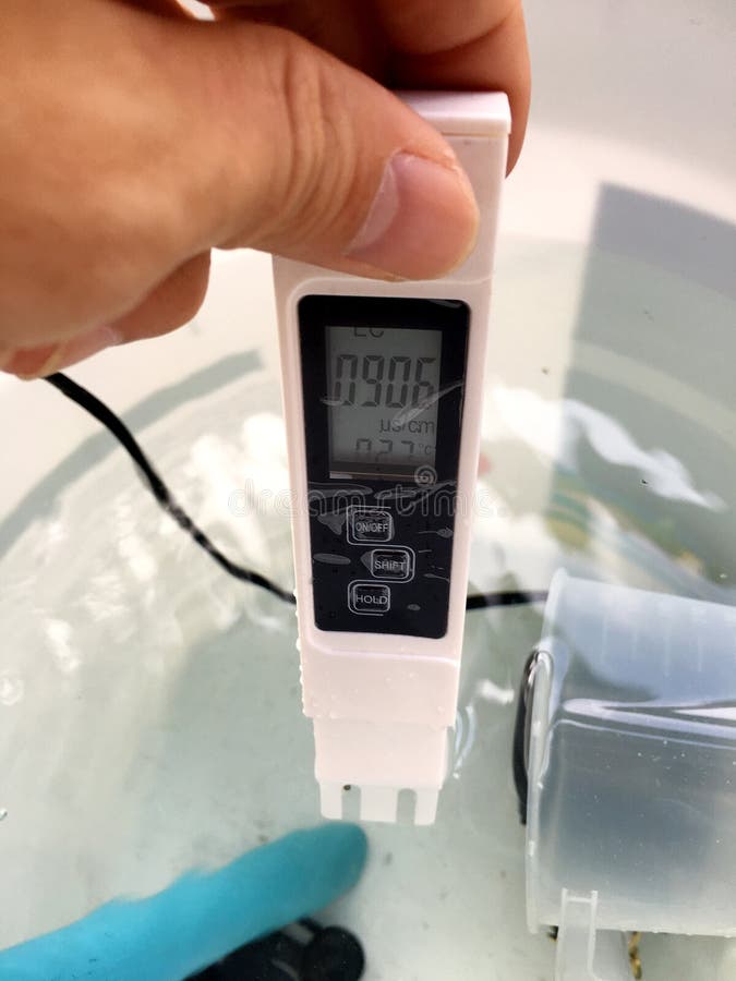 Hydroponics measure stock image. Image of lettuce, grow - 80804327