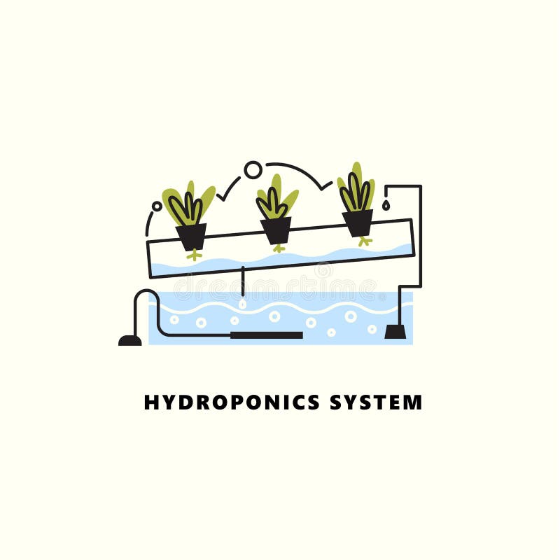 Hydroponics System. Vector Illustration in Outline Style. Stock Vector ...