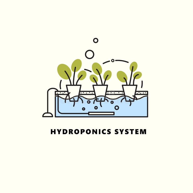 Hydroponics. Vector Illustration of Plant on Water without Soil Stock ...