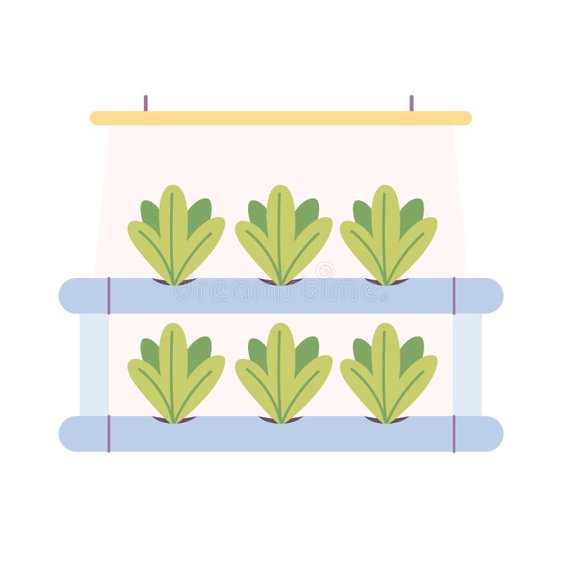 Hydroponics Technology for Plants Growing. Vertical Farming. Smart Farm ...