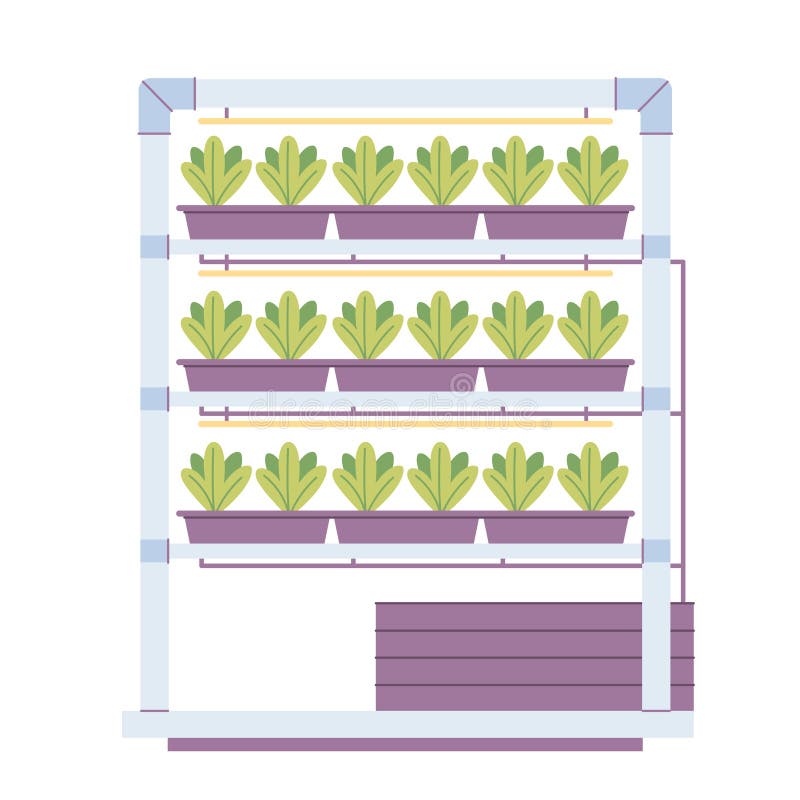 Hydroponics Technology for Plants Growing. Vertical Farming. Smart Farm ...