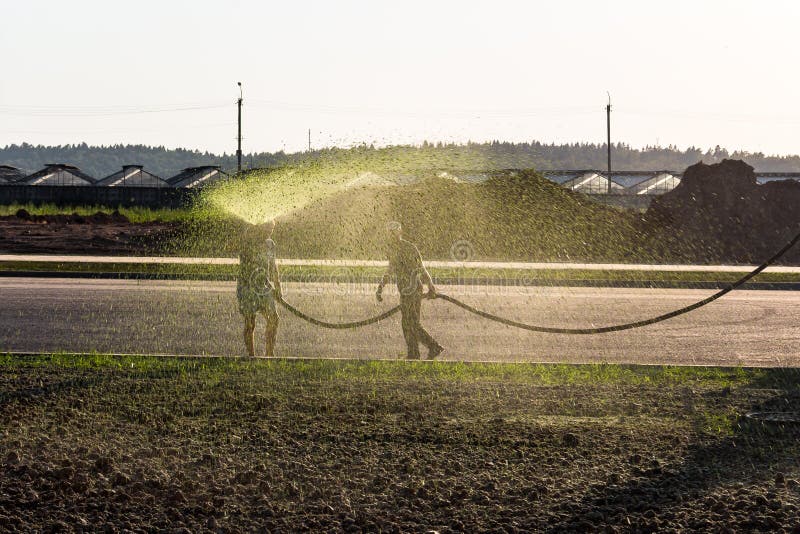 Hydroseeding a liquid lawn stock photo. Image of mulch - 225116510
