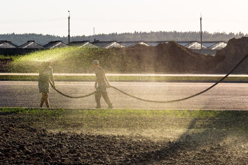 Hydroseeding a liquid lawn stock image. Image of workers - 227474795