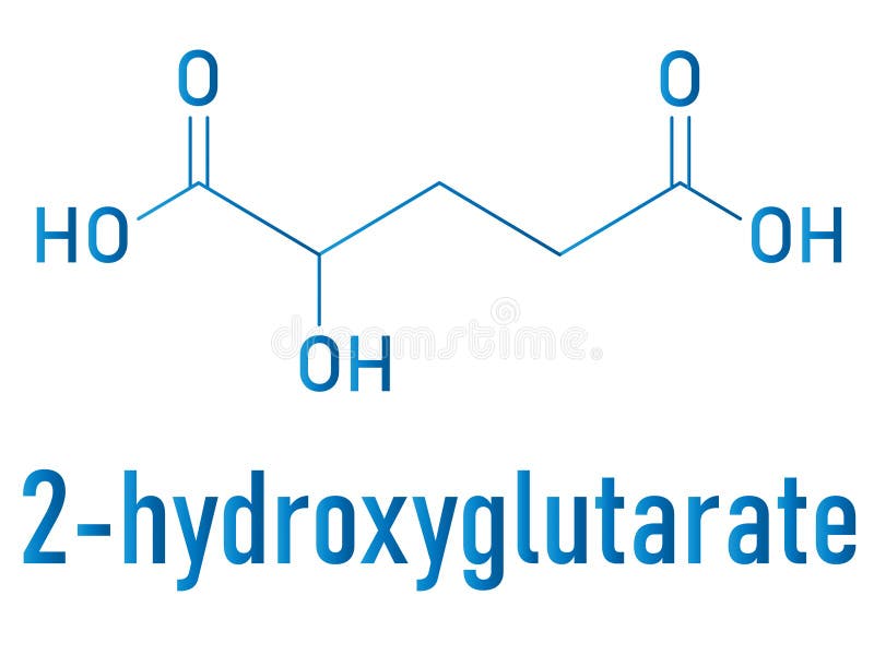 2-hydroxyglutarate Molecule. Skeletal Chemical Formula Stock Vector ...