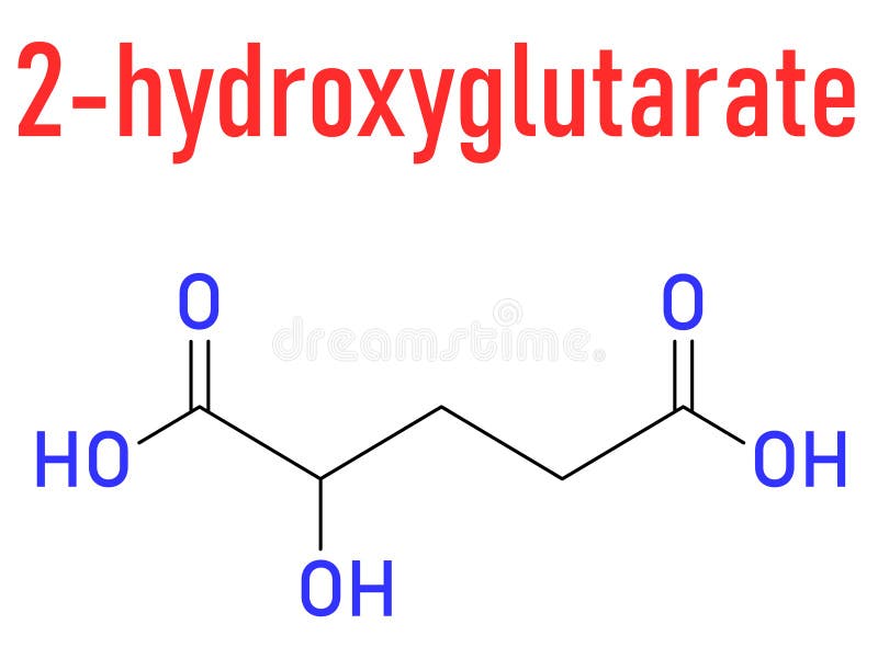 2-hydroxyglutarate Molecule. Skeletal Chemical Formula Stock ...