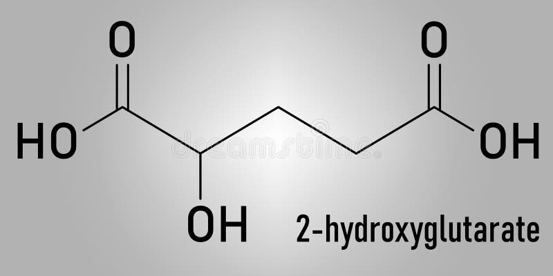 2-hydroxyglutarate Molecule. Skeletal Chemical Formula. Flat Design ...
