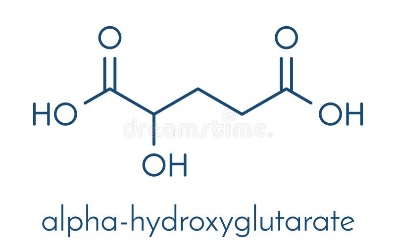 2-hydroxyglutarate Molecule. Skeletal Formula. Stock Vector ...