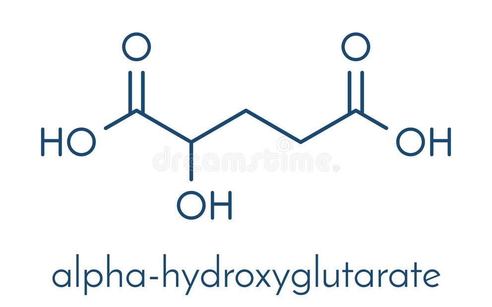 2-hydroxyglutarate Molecule. Skeletal Formula. Stock Vector ...